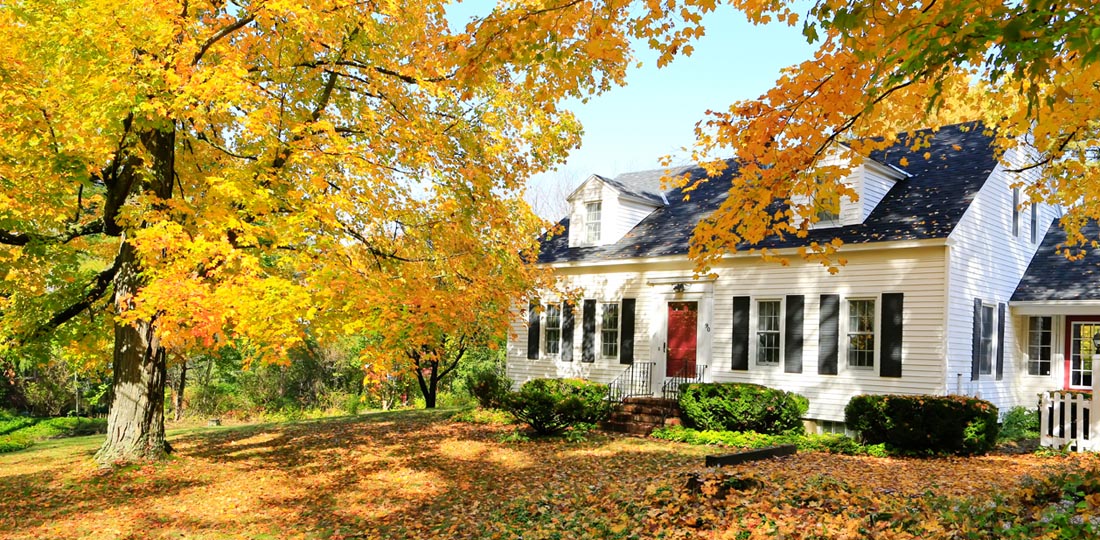 Exterior Shutters Direct - Wood, Composite & Vinyl - Free Shipping